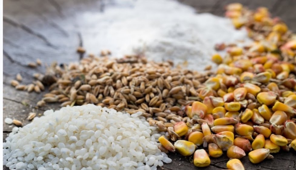 Atta & Rice goes dearer, price Index up by 1.35 pc - HIMACHAL HEADLINES