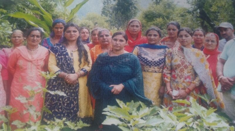 Women of Panjayanu village of Mandi district set an example with ...