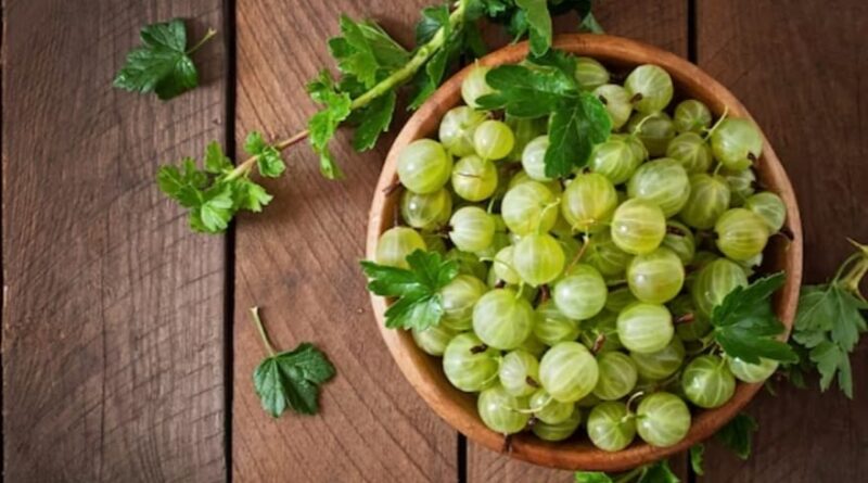 Himalayan gooseberry pickle high in Vitamin C - HIMACHAL HEADLINES