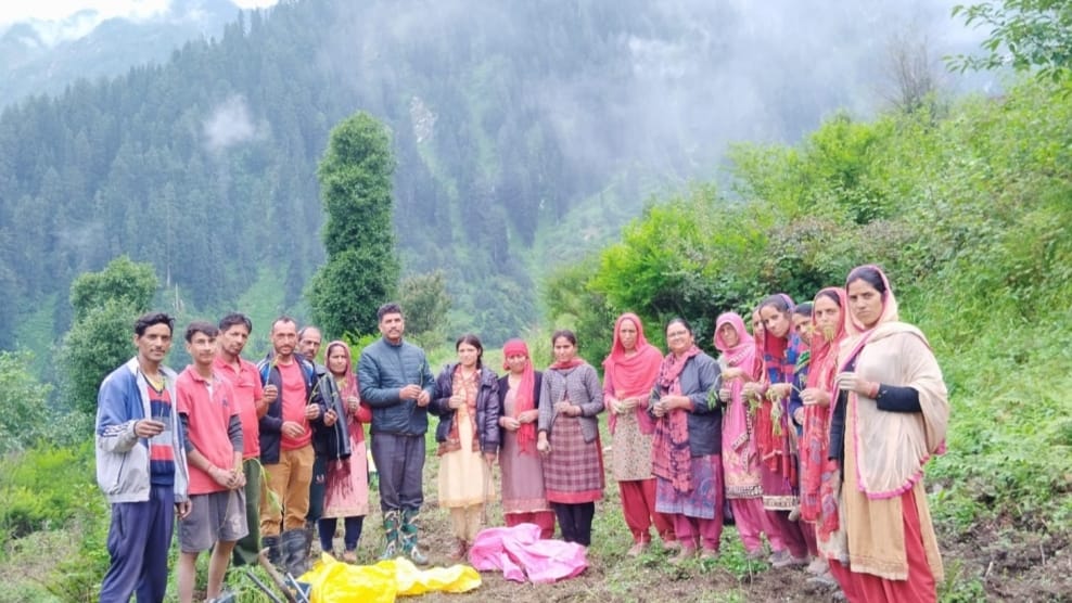 CSIR- IHBT Palampur helping farmers cultivate aromatic crops in vacant ...